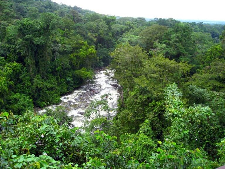 Descubre La Reserva de Río Plátano: Un paraíso natural en Honduras ...